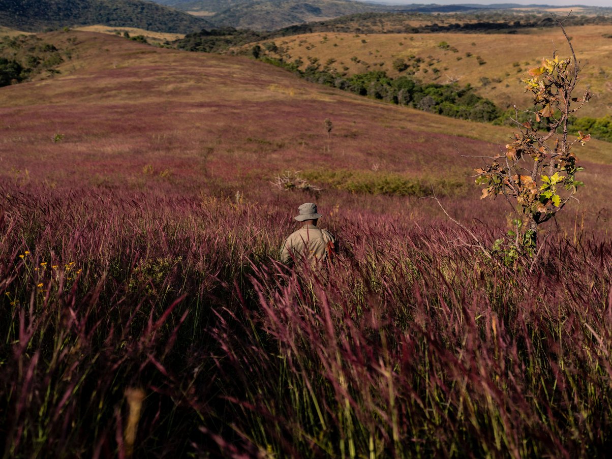 Land and Environmental Defenders | Global Witness