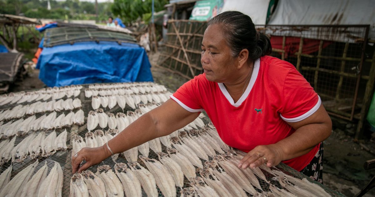 Philippines fisherfolk face food shortages after typhoons | Global Witness