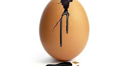 The Shell Starts to Crack | Global Witness